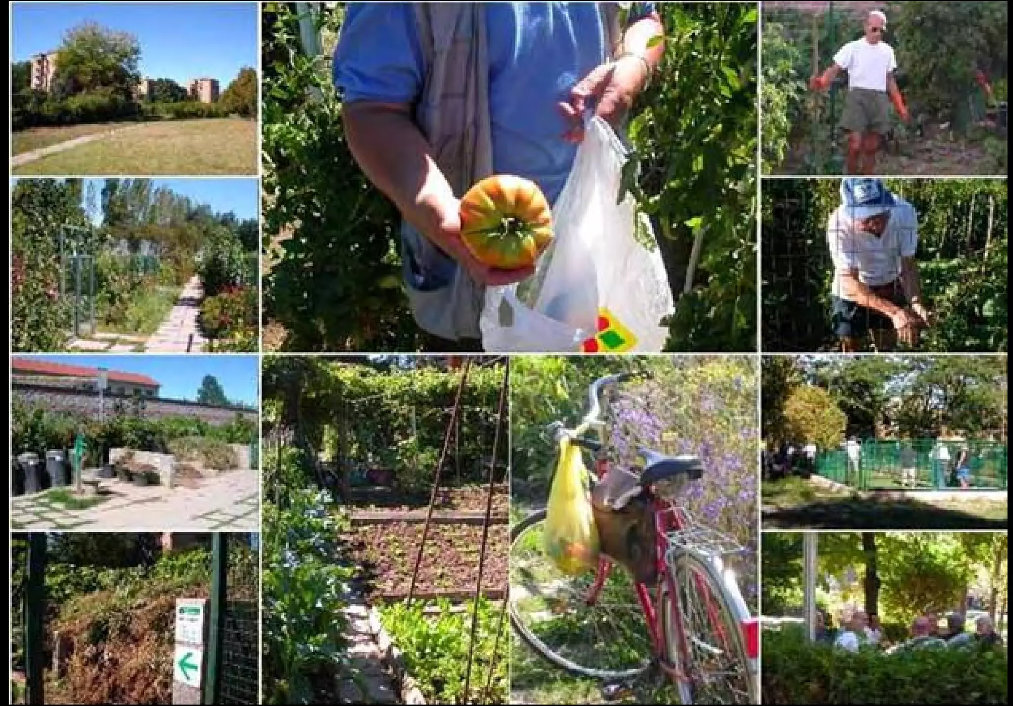 2008 | Visualization Tool - How communicate the service design concepts ...