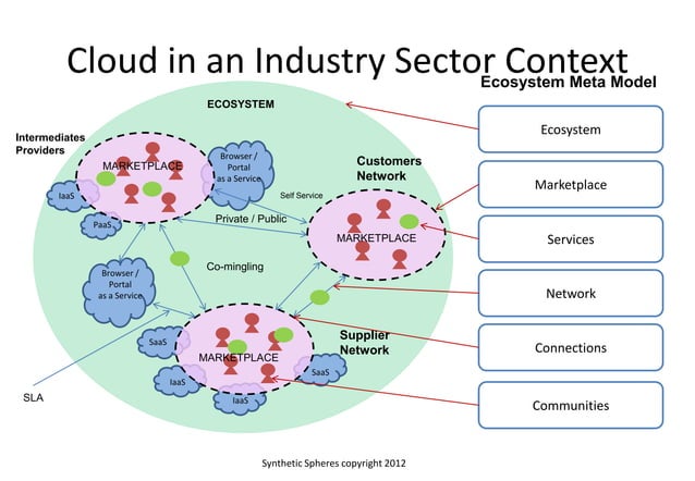 Visualization of an digital ecosystem capgemini m skilton v1 | PPT