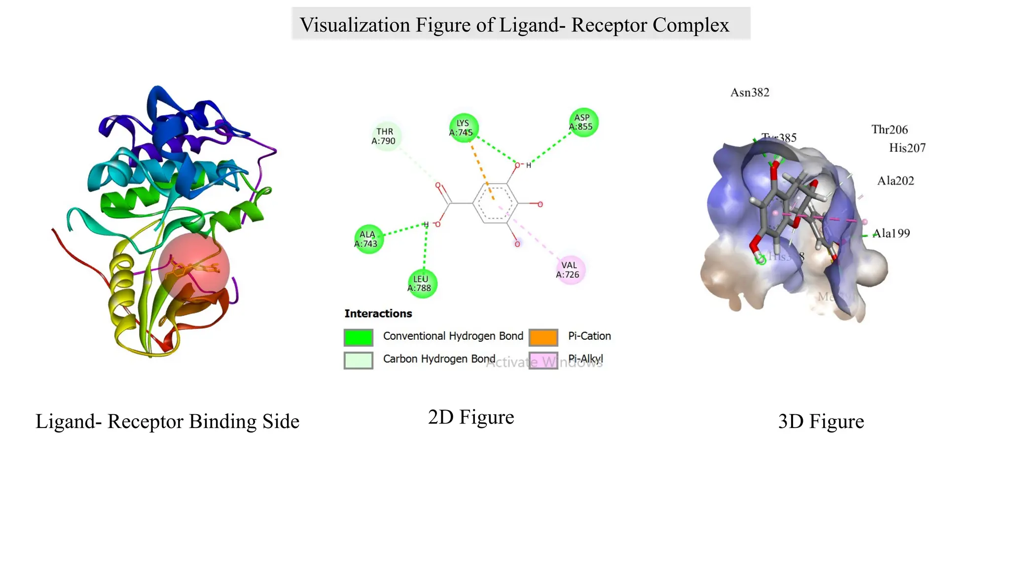 Visualization of Ligand-Receptor by Md. Sakib Al Hasan | PPT