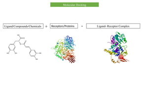 Visualization of Ligand-Receptor by Md. Sakib Al Hasan | PPT