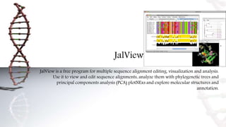 Visualization Tools | PPTX
