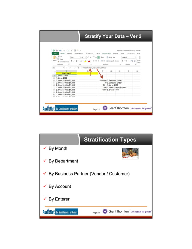Visualize audit sampling and fraud detection in excel | PDF