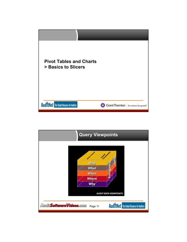 Visualize audit sampling and fraud detection in excel | PDF