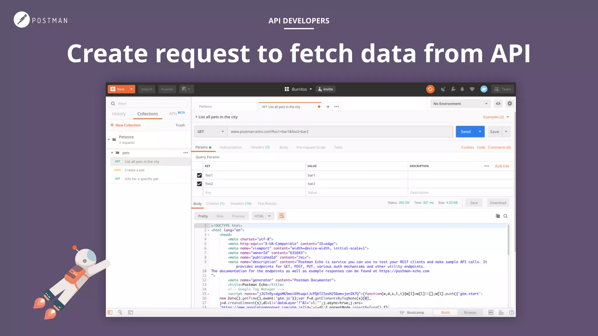 Postman Visualizer Webinar Slides | PPT