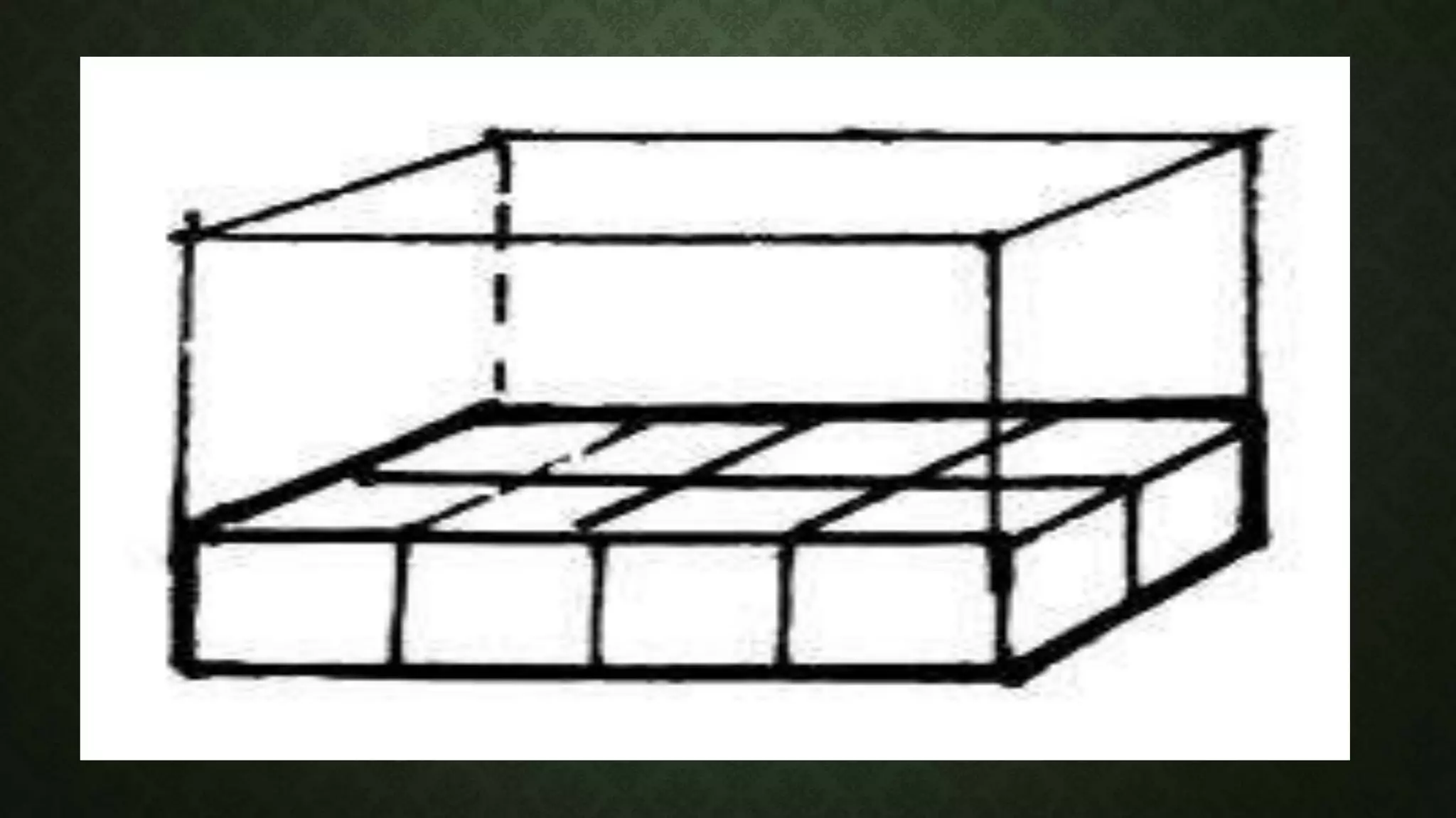 Visualize the volume of a cube and rectangular prism | PPTX