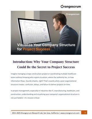 Visualize Your Company Structure for Project Success.pdf