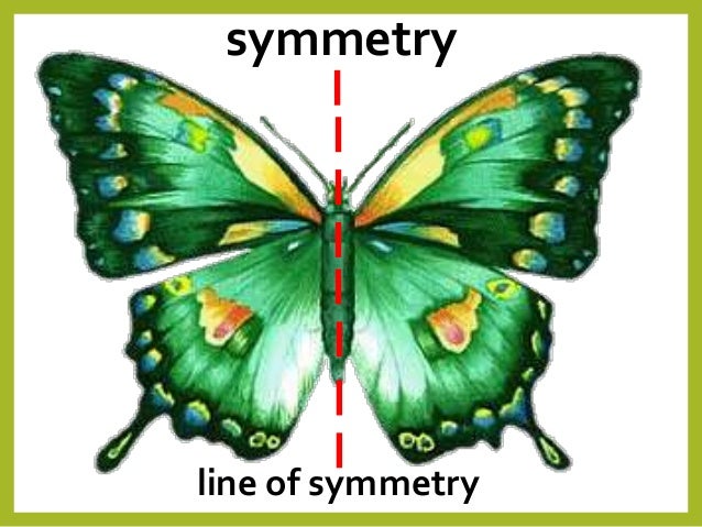 Visualizing and drawing of symmetrical designs