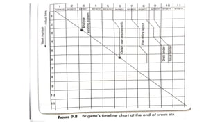 Visualizing Progress.pptx