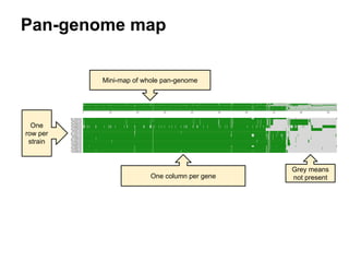 Visualizing the pan genome - Australian Society for Microbiology - tue ...