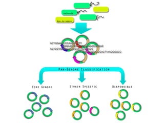Visualizing the pan genome - Australian Society for Microbiology - tue ...