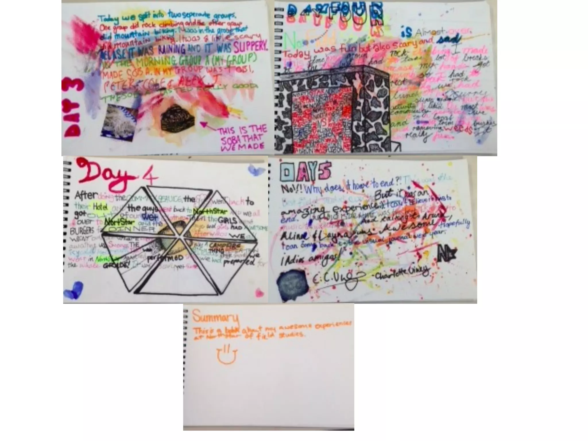 Field Studies visual journal | KEY