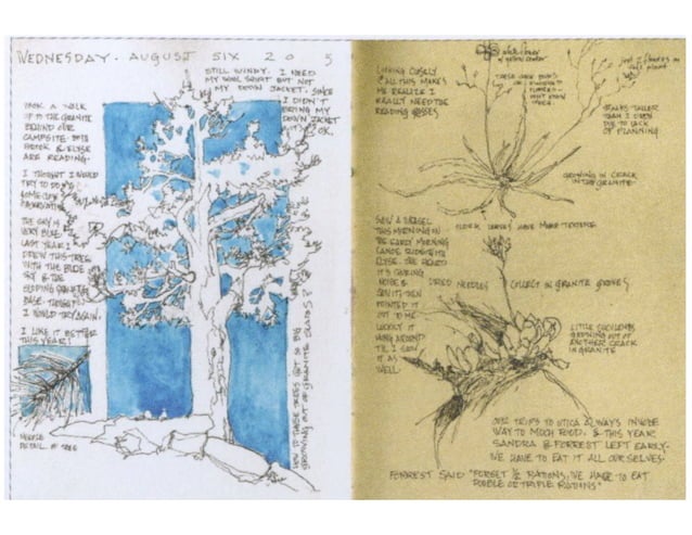 Visual Journal examples | PDF
