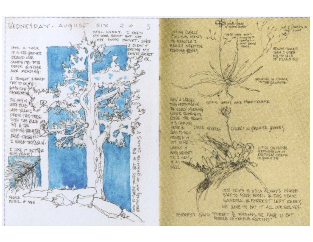 Visual Journal Examples