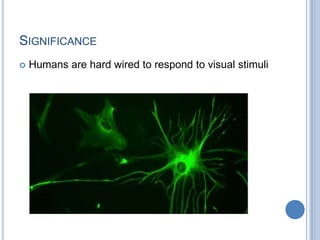 Visual literacy ppt | PPTX