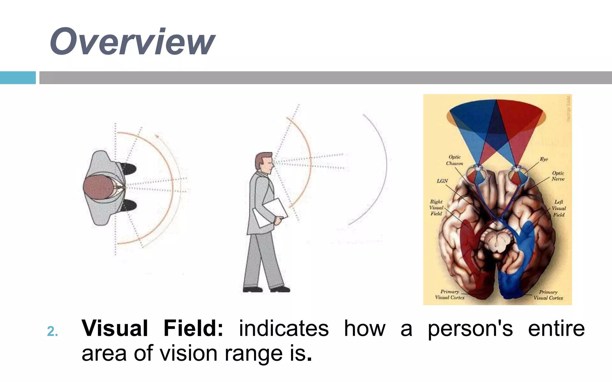 Visually impaired as a design challenge | PPTX