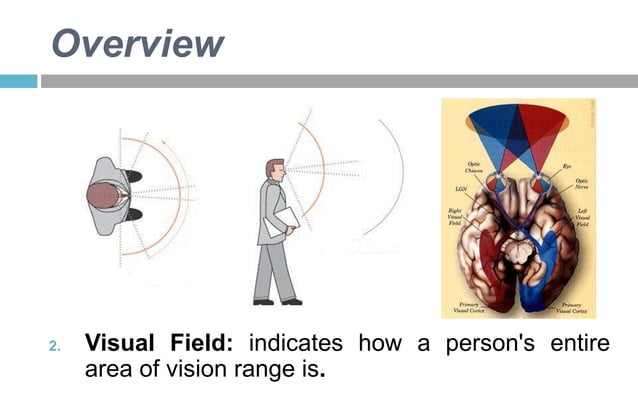 Visually impaired as a design challenge | PPTX | Eye and Vision ...
