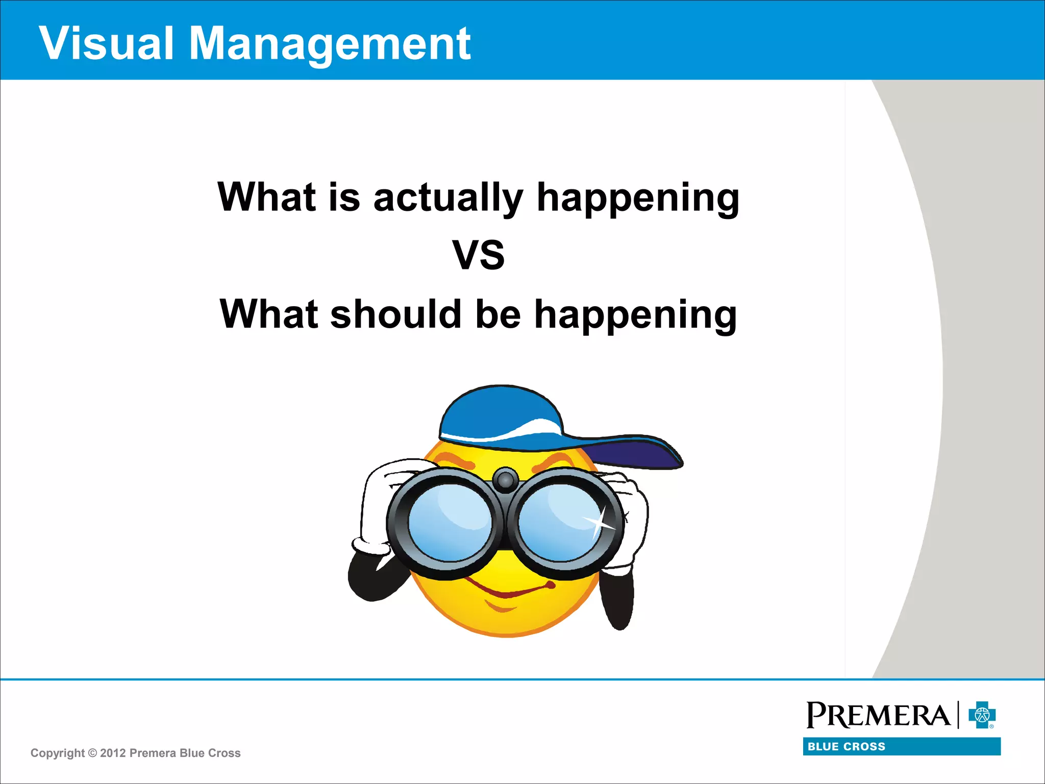 Visual management.pdf