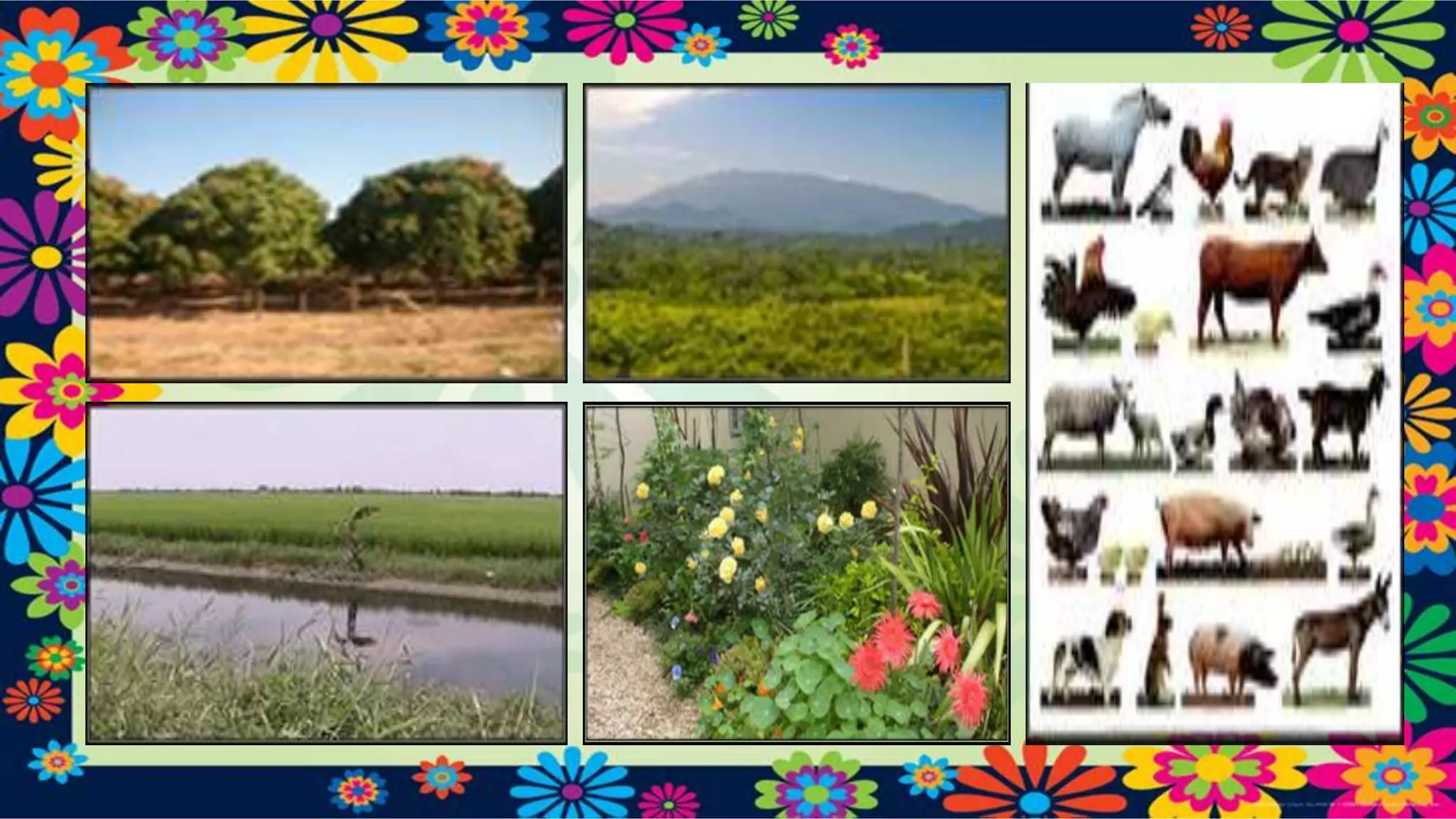 Science 3 PAGLALARAWAN NG MGA BAGAY NA NAKIKITA SA KAPALIGIRAN | PPTX