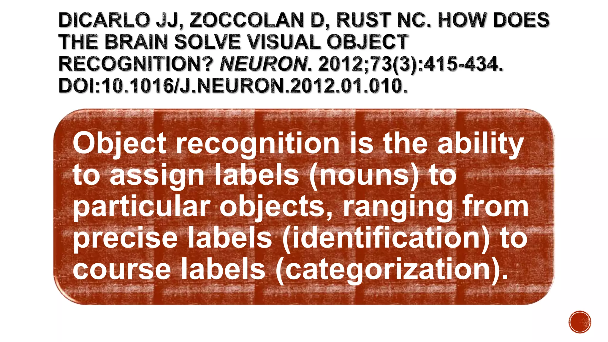 Visual object recognition | PPSX