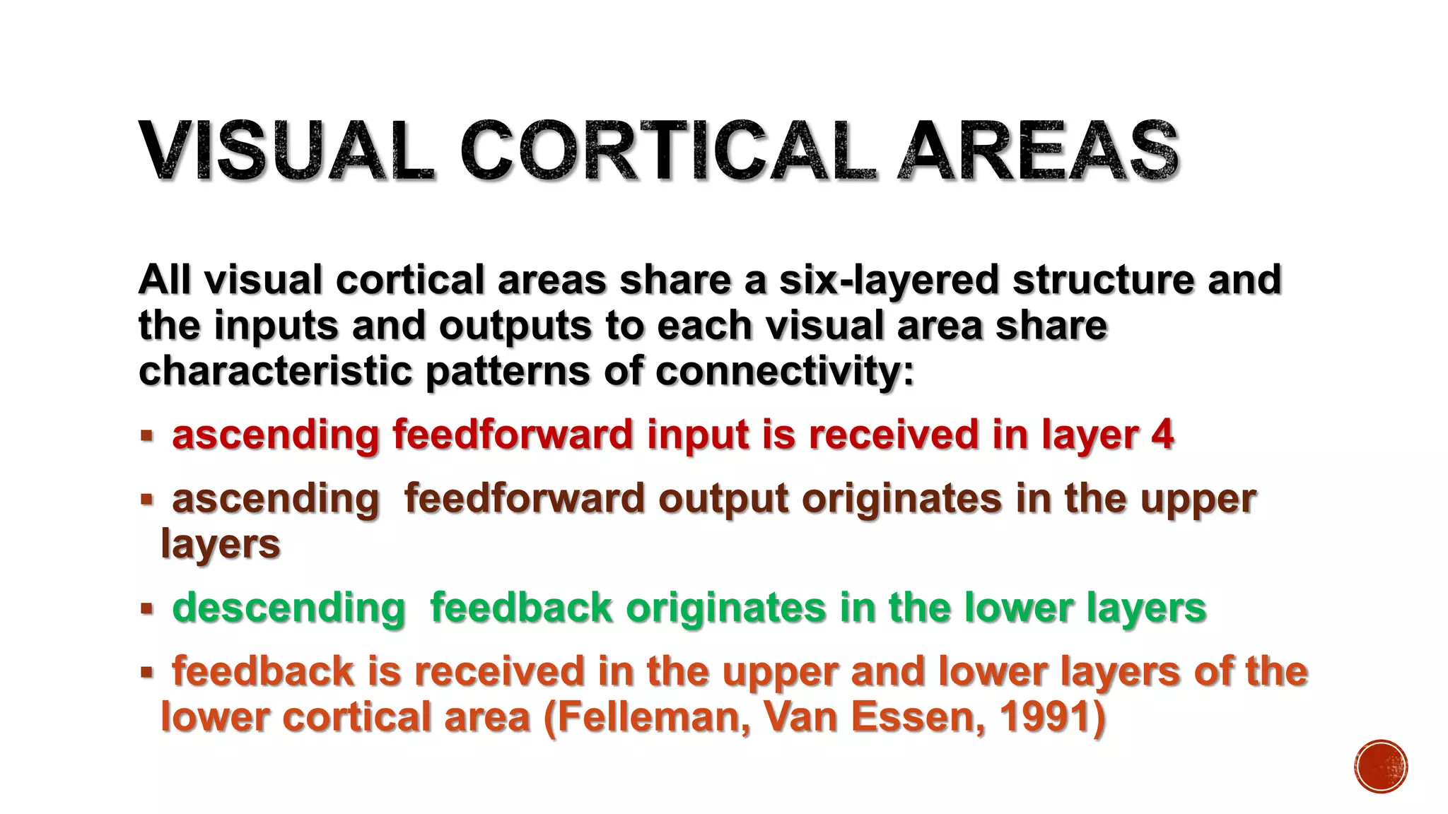 Visual object recognition | PPSX