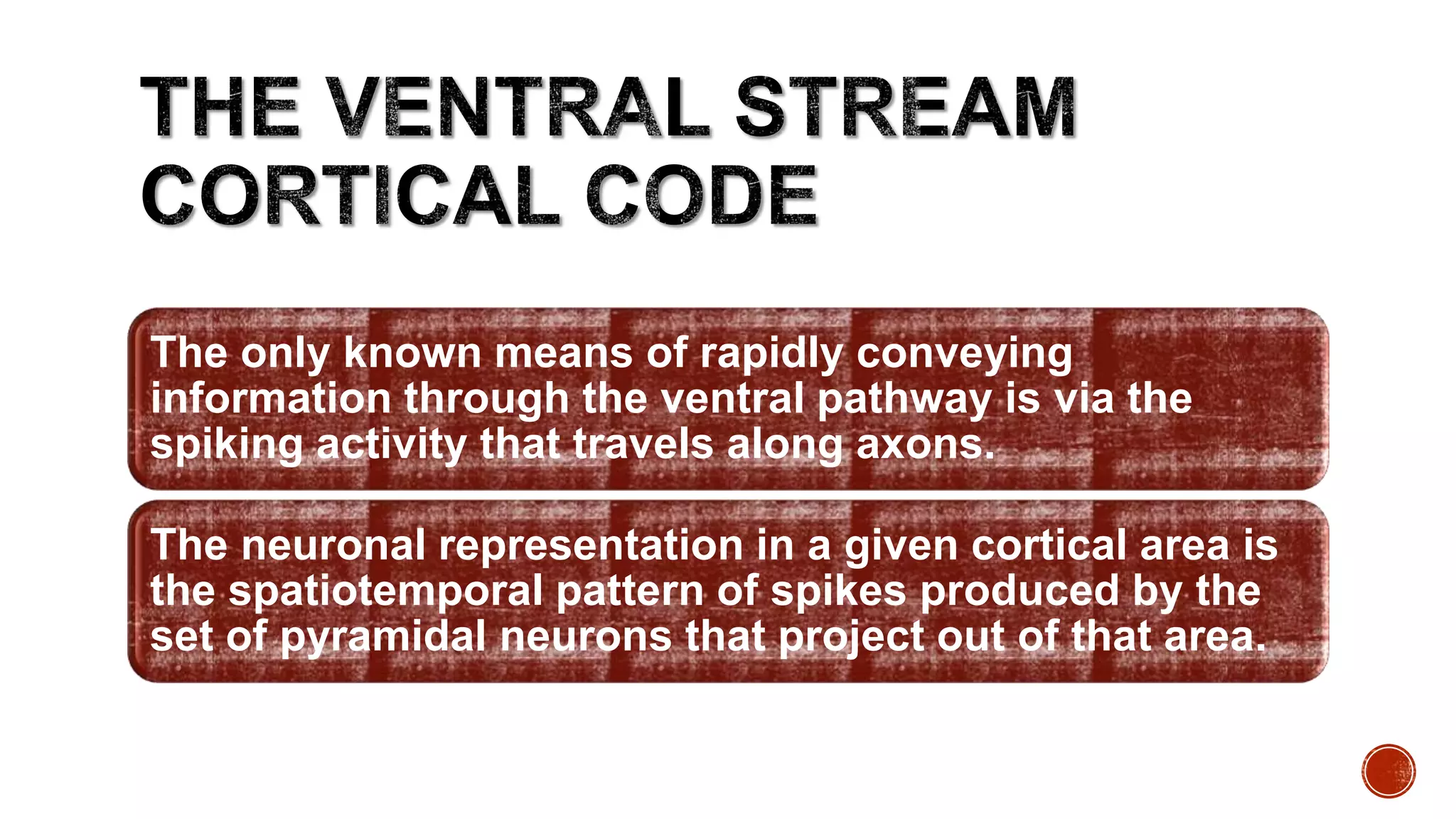 Visual object recognition | PPSX