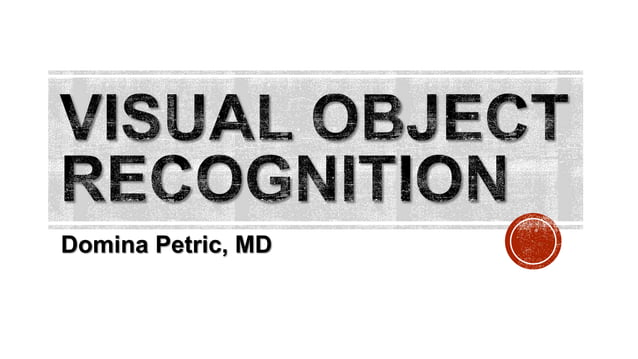 Visual object recognition | PPT