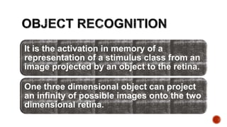 Visual object recognition | PPSX