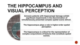 Visual object recognition | PPSX