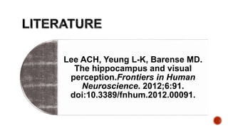 Visual object recognition | PPSX