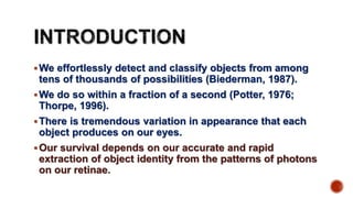 Visual object recognition | PPSX