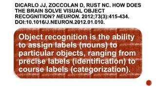 Visual object recognition | PPSX