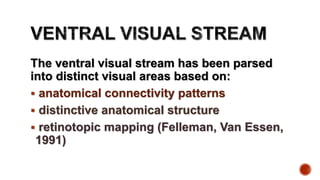 Visual object recognition | PPSX