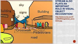 Visual object recognition | PPSX