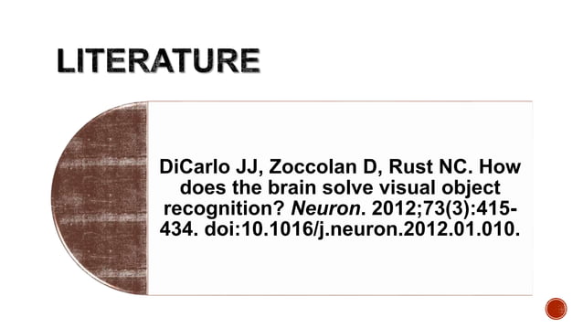 Visual object recognition | PPT