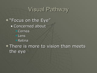Visual pathway | PPT