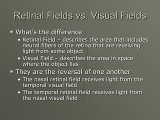 Visual pathway | PPT