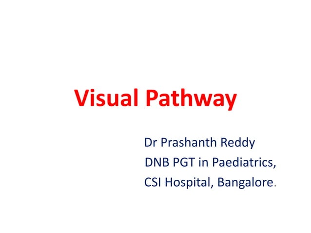 Visual pathway and defects | PPTX | Eye and Vision Conditions ...