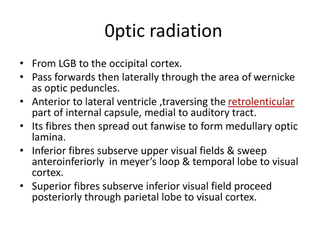 Visual pathway and defects | PPTX | Eye and Vision Conditions ...