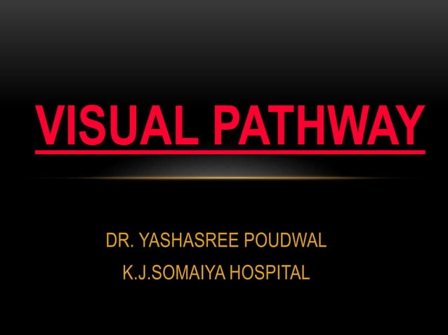 Visual pathway | PPT