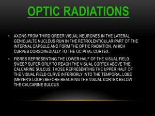 Visual pathway | PPTX