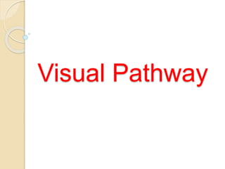 Visual pathway | PPTX