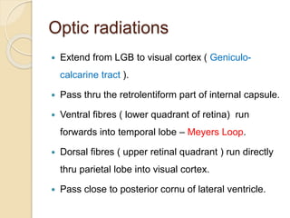 Visual pathway | PPTX