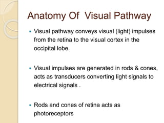 Visual pathway | PPTX