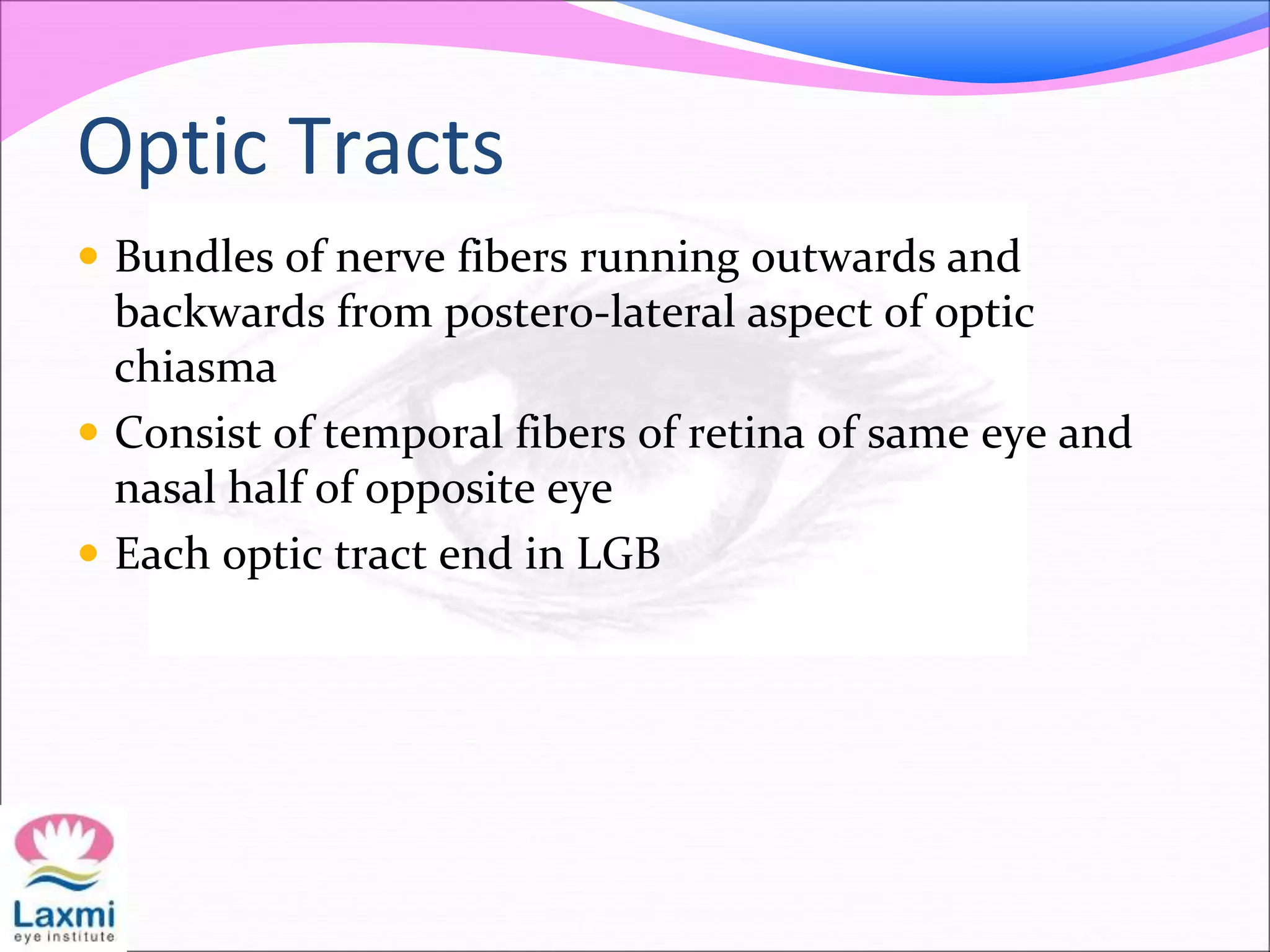 Visual pathway | PPTX