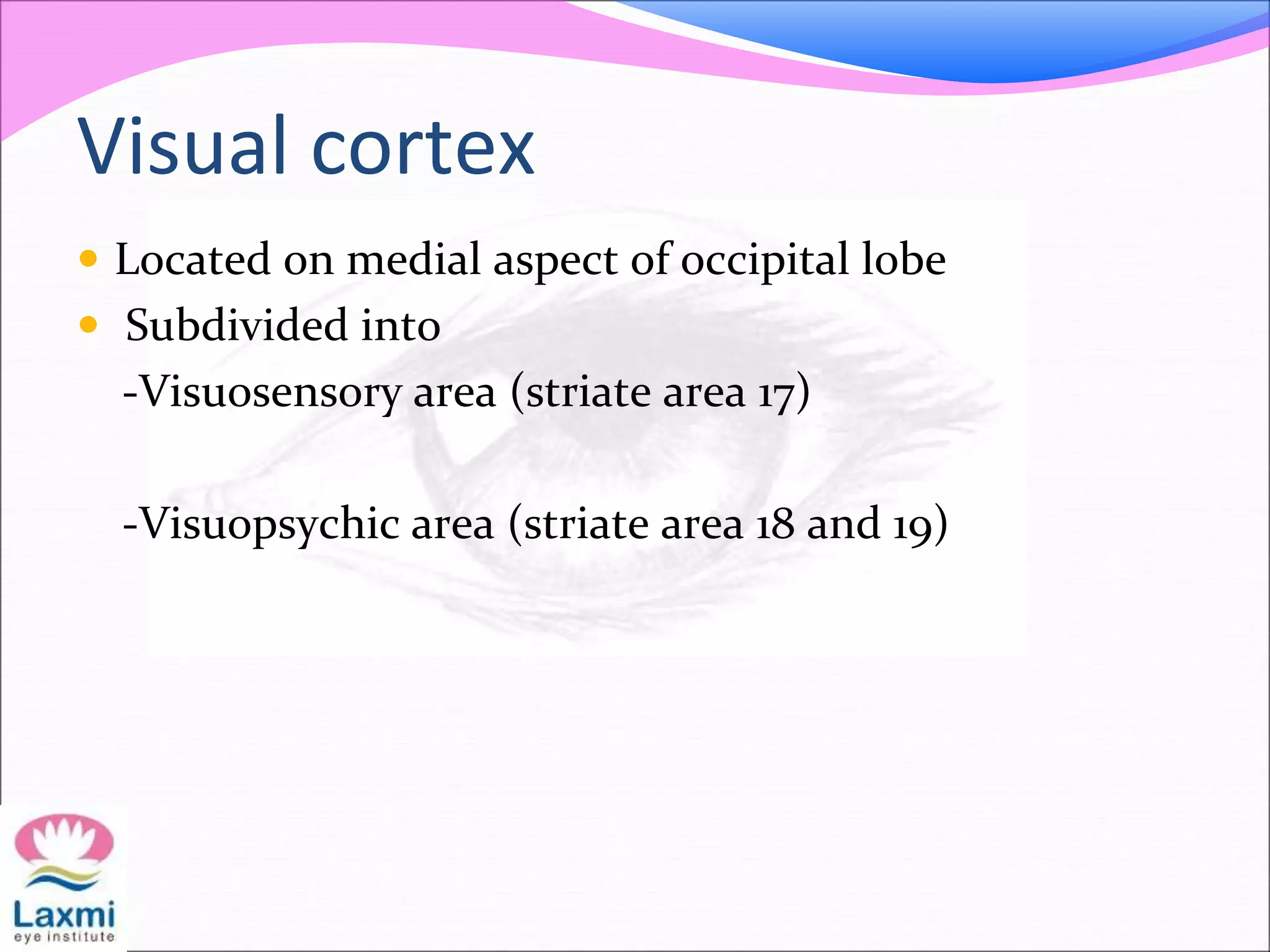 Visual pathway | PPTX