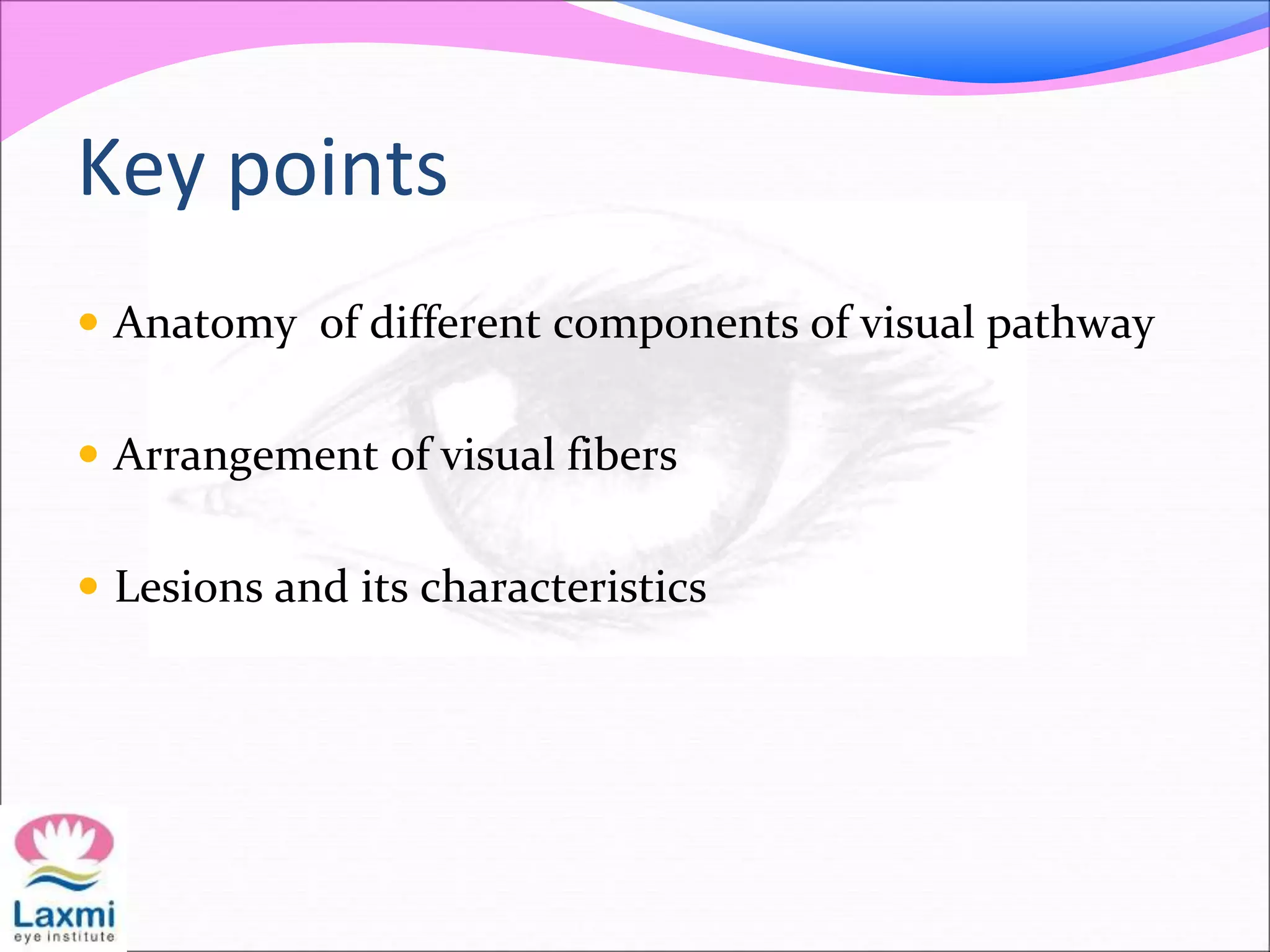 Visual pathway | PPTX