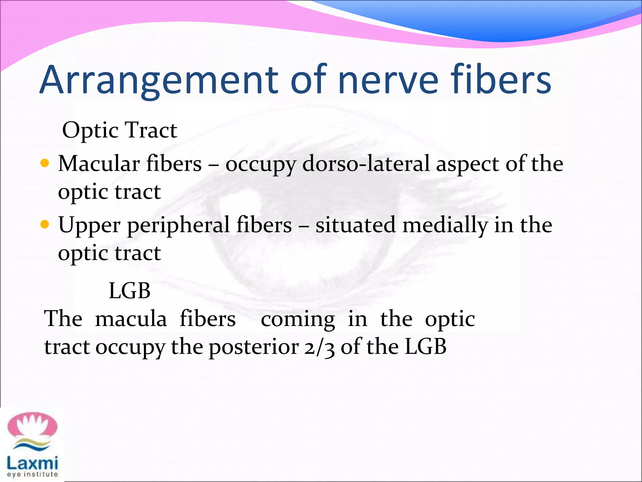 Visual pathway | PPTX