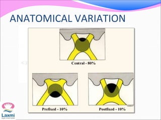 Visual pathway | PPTX