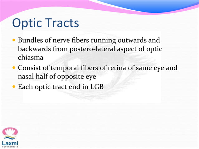 Visual pathway | PPTX | Eye and Vision Conditions | Diseases and Conditions