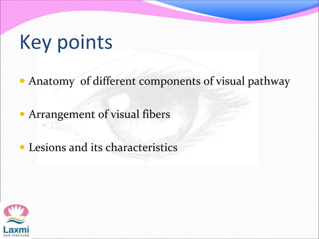 Visual pathway | PPTX | Eye and Vision Conditions | Diseases and Conditions